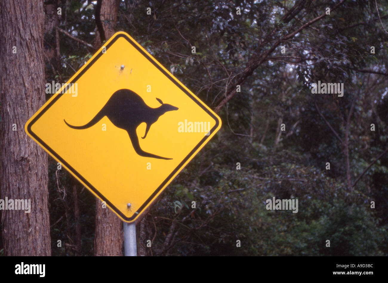 Australia Road sign in Queensland Stock Photo - Alamy