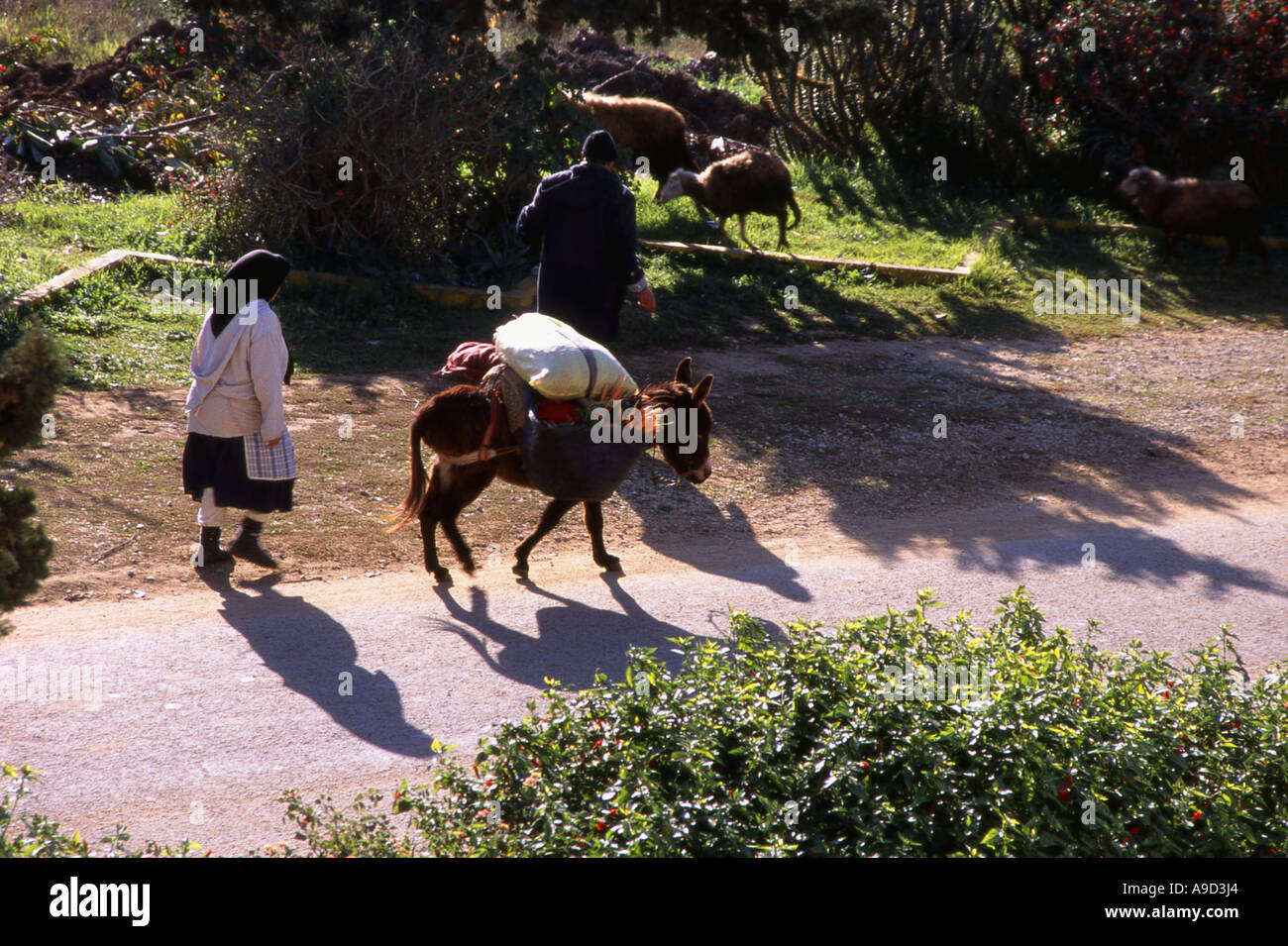 Tangier Tangiers Tánger Strait of Gibraltar Tangier-Tétouan Region ...