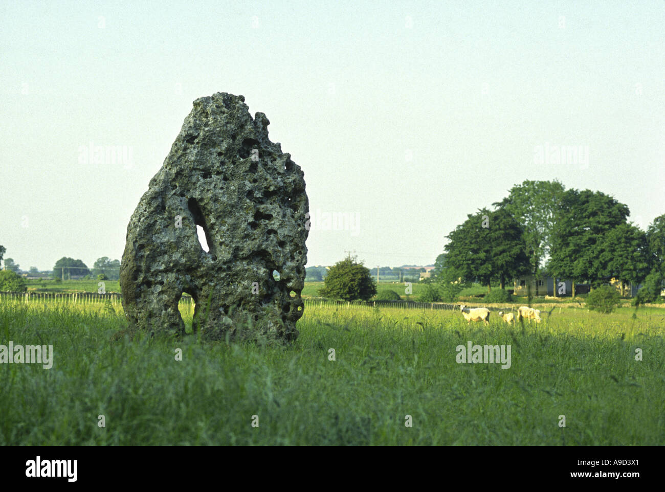 Ancient standing stone, The Tingle Stone, Minchinhampton ...