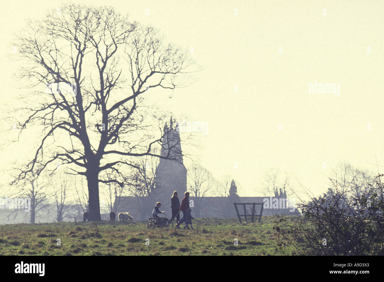 Minchinhampton common hi-res stock photography and images - Alamy