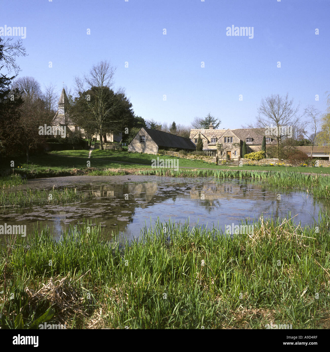 Village pond, Spring sunshine, Westwell, Cotswolds, Oxfordshire ...