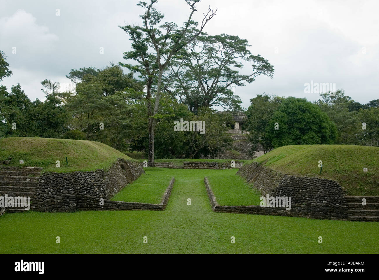 Mexico palenque ball court hi-res stock photography and images - Alamy