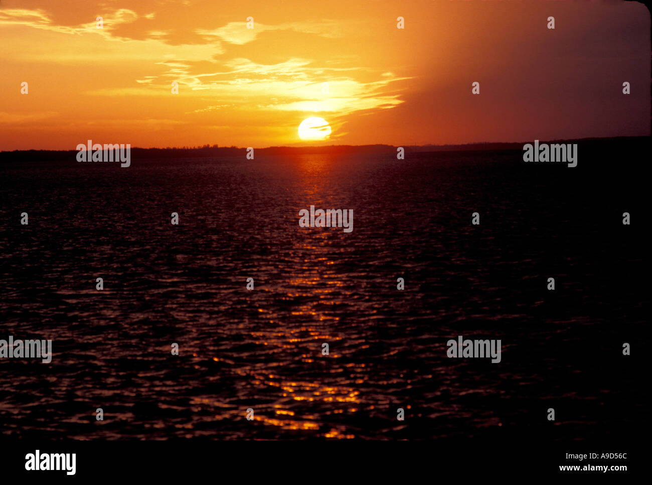 Florida Gulf Coast sunset Stock Photo - Alamy