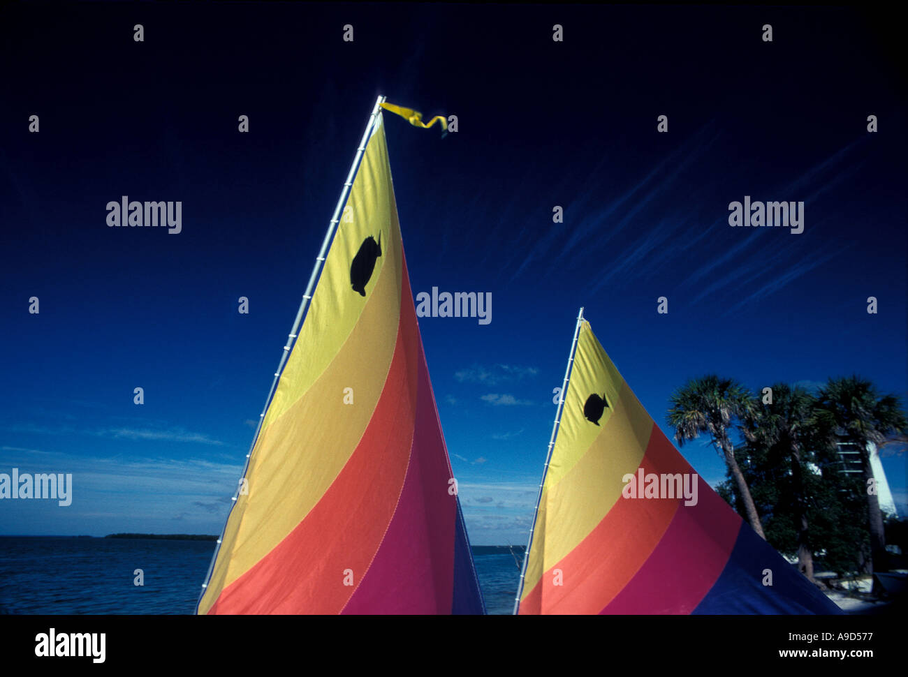 Sunfish sailboat 2 Stock Photo - Alamy