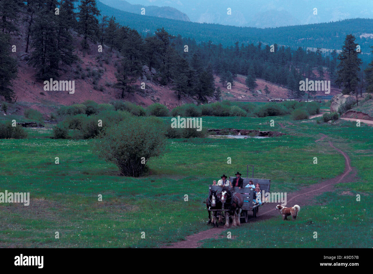 Hay ride in alpine meadow Stock Photo - Alamy
