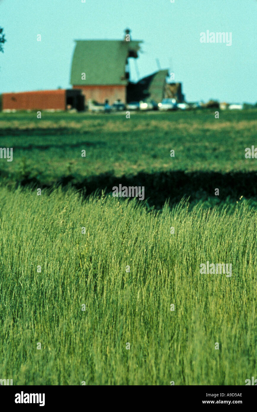Falling down barn Stock Photo - Alamy