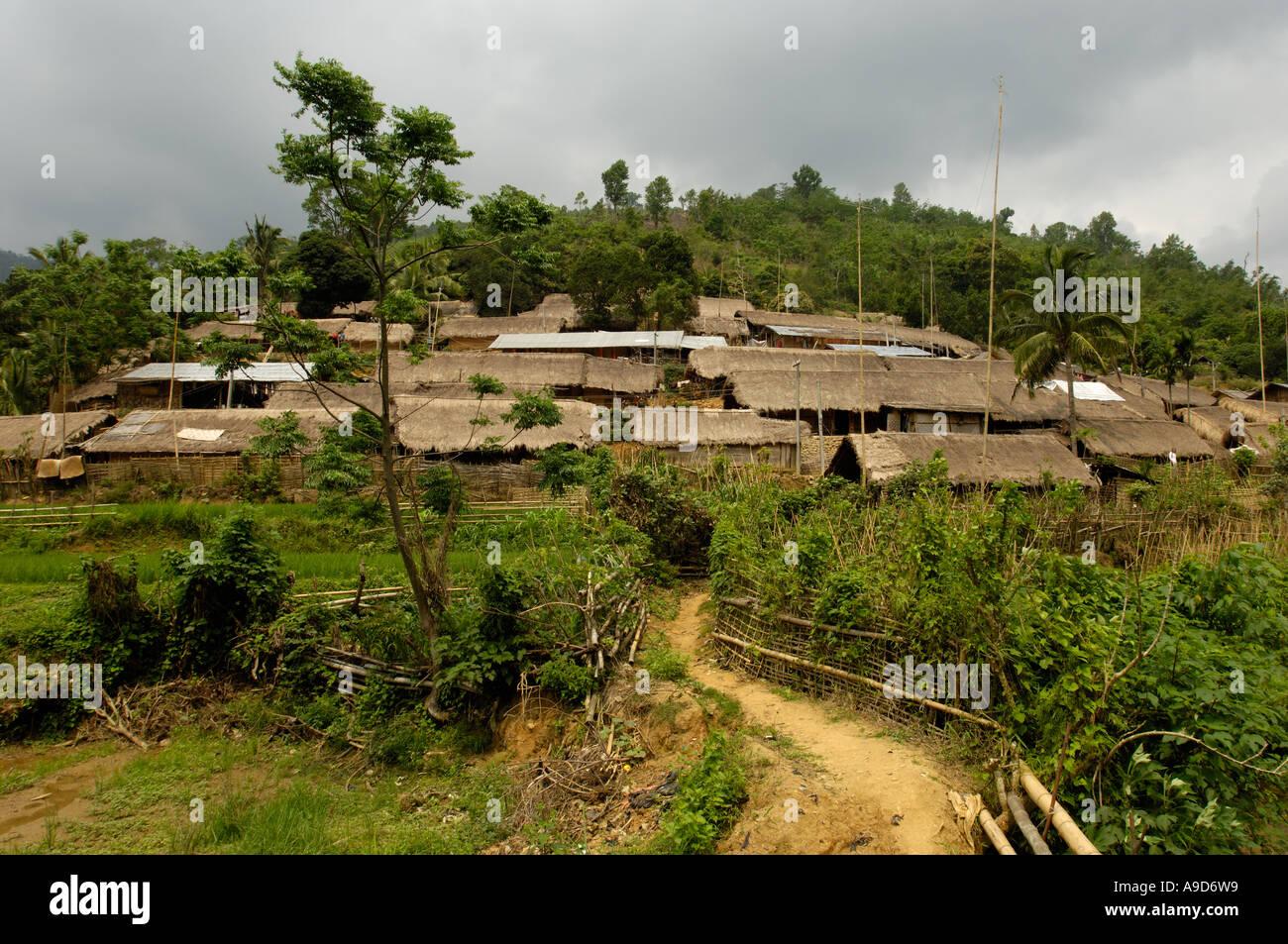 Traditional thatched cottages in a remote village in Wuzhishan mountain ...