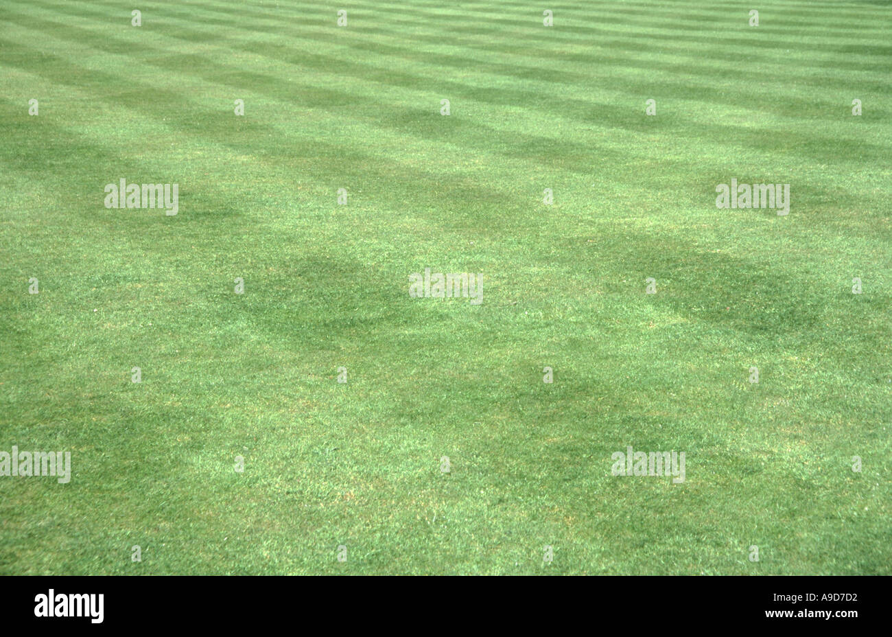 Neatly cut grass lawn Stock Photo - Alamy