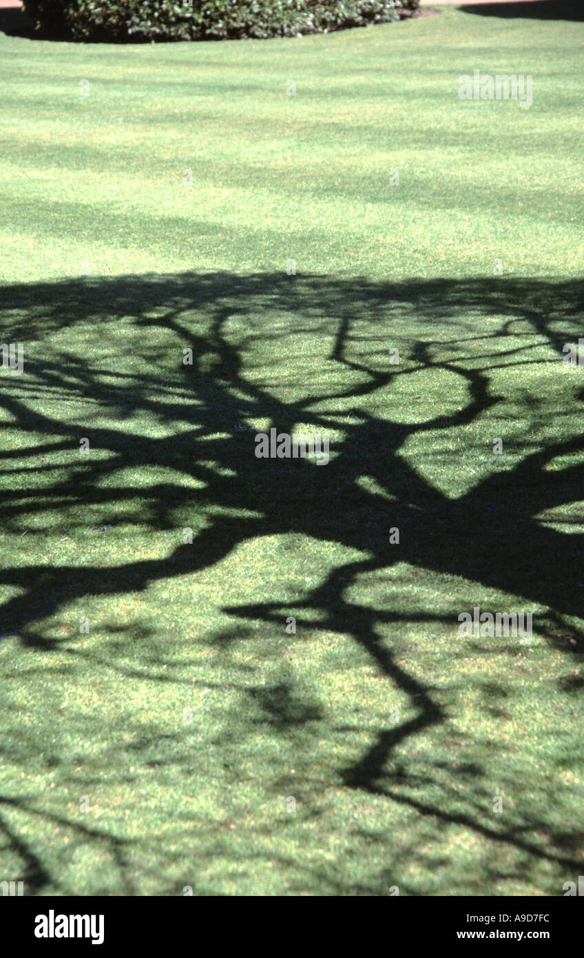 Neatly mowed grass hi-res stock photography and images - Alamy