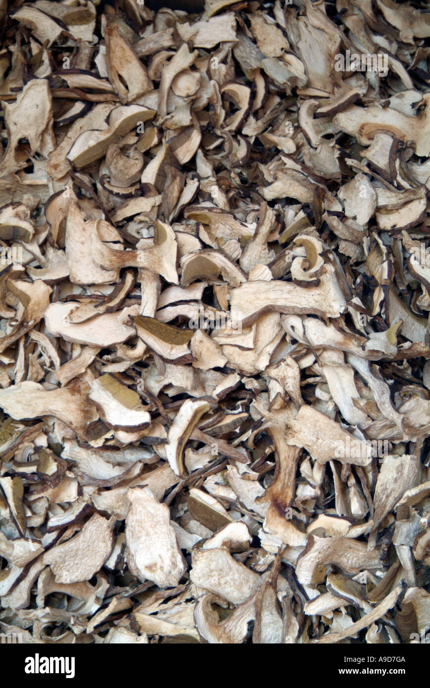 Mushrooms, dried, fungi, fungus, mushroom, ingredient, food, cook ...