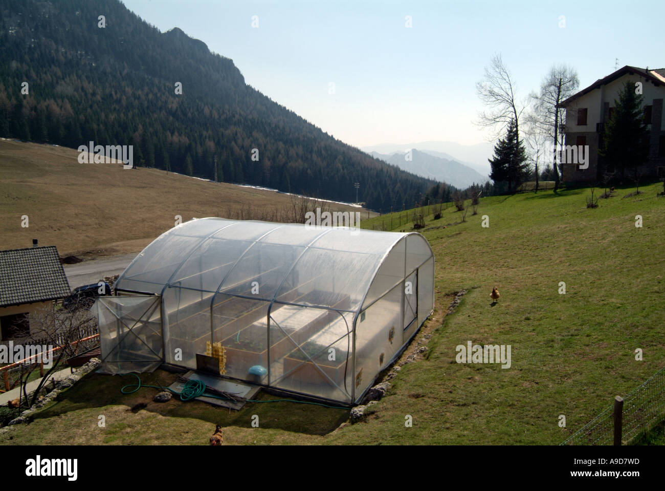 poly, tunnel, horticulture, farm, alps, italy, rolling, hills Stock ...