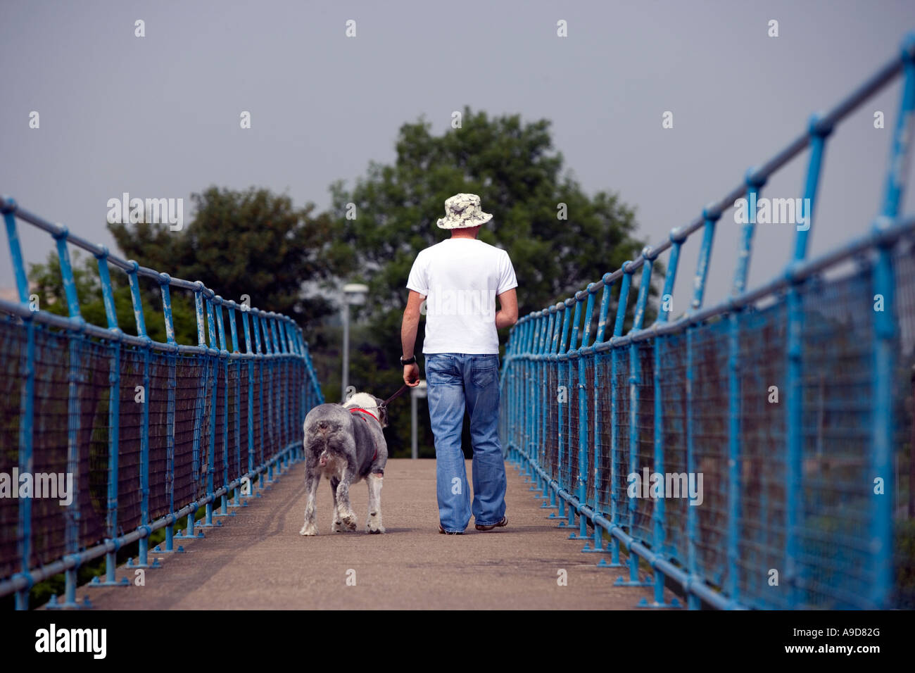 Walks for dogs bridge hi-res stock photography and images - Alamy