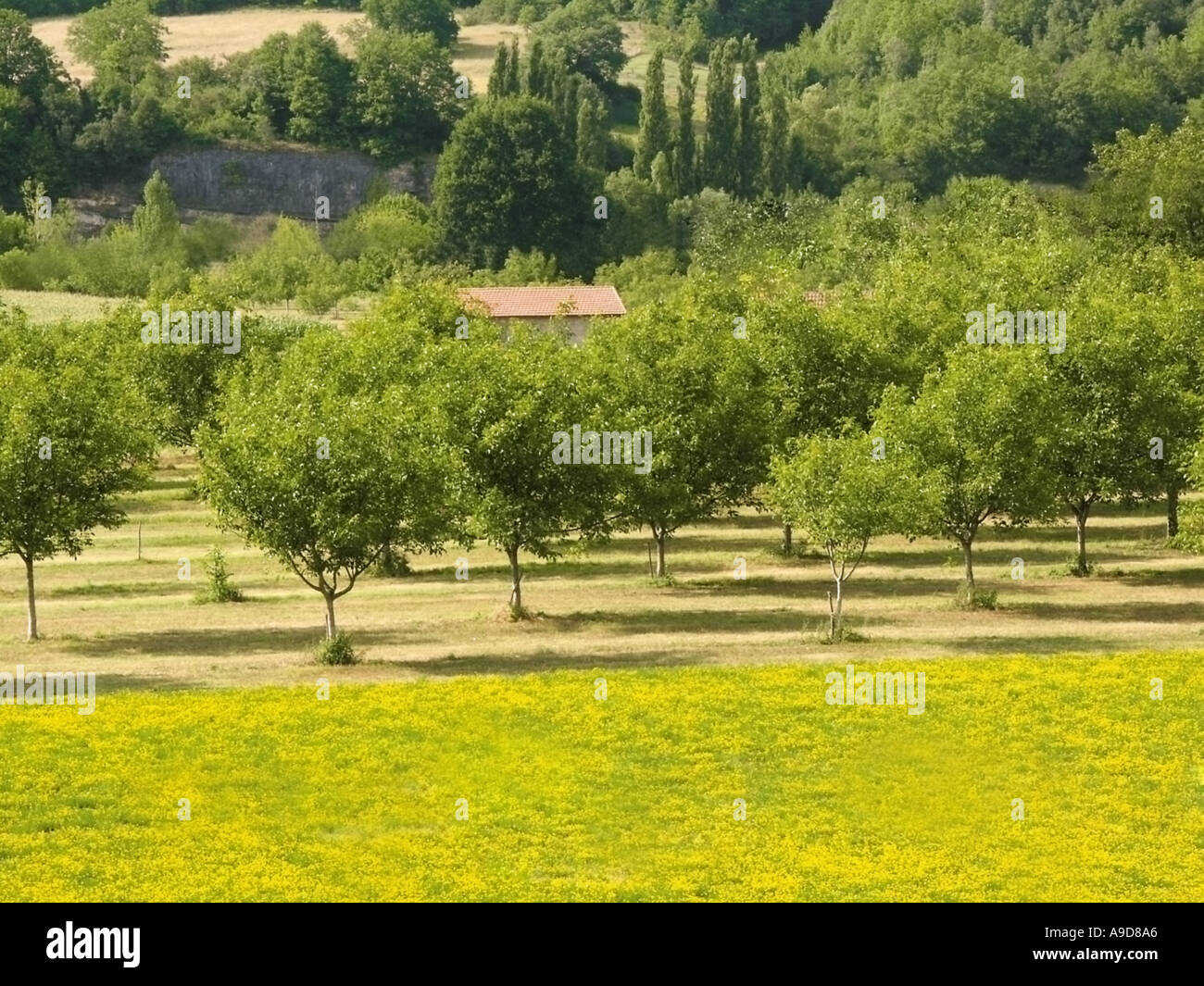 france dordogne valley farmland Stock Photo - Alamy