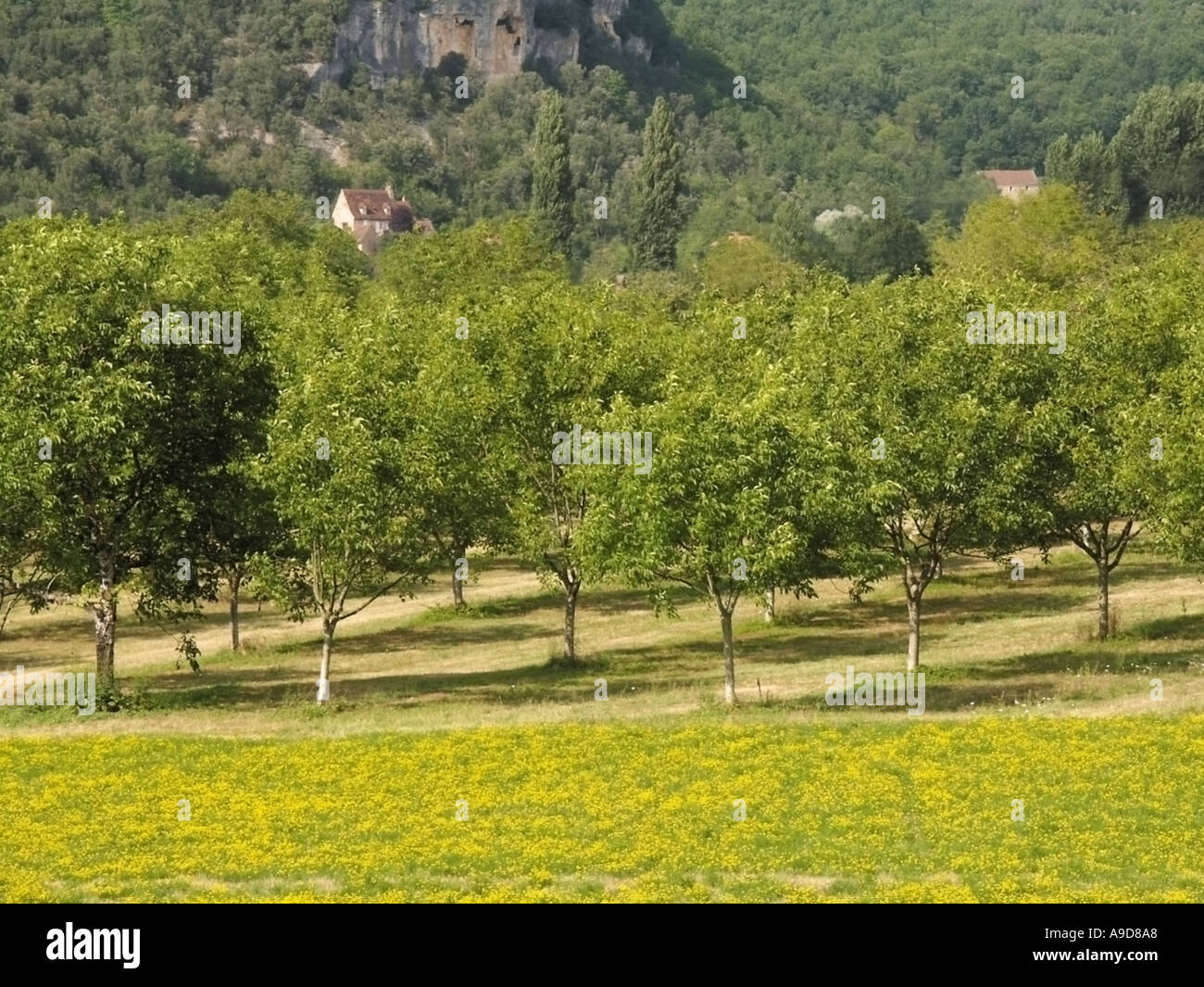 france dordogne valley farmland Stock Photo - Alamy