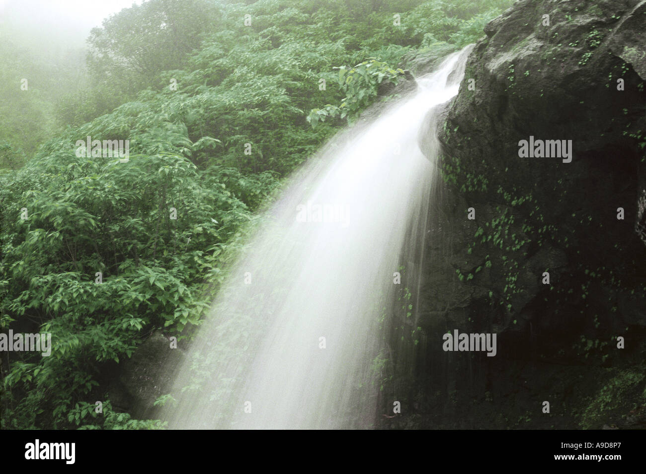 Malshej ghat waterfall near Bombay Mumbai Maharashtra India Stock Photo ...