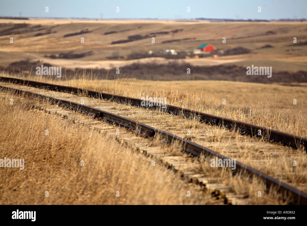 Grass growing on railroad tracks hi-res stock photography and images ...