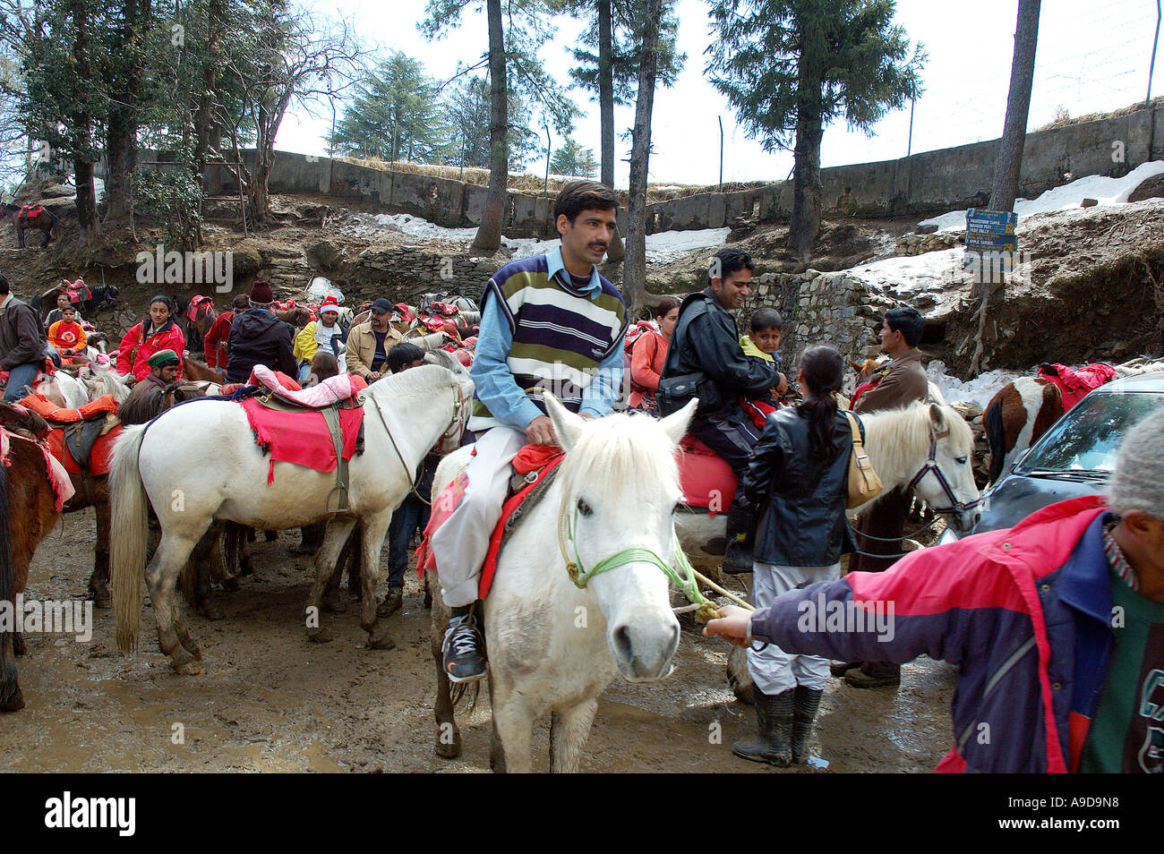 Asian women riding horse hi-res stock photography and images - Alamy