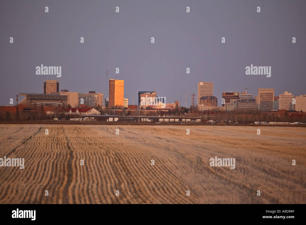 Canada Saskatchewan Regina City Skyline High Resolution Stock ...