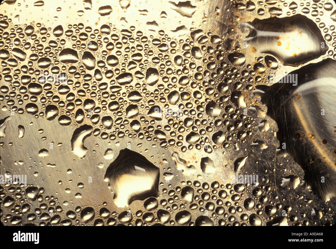 CLOSE UP CONDENSATION Stock Photo - Alamy