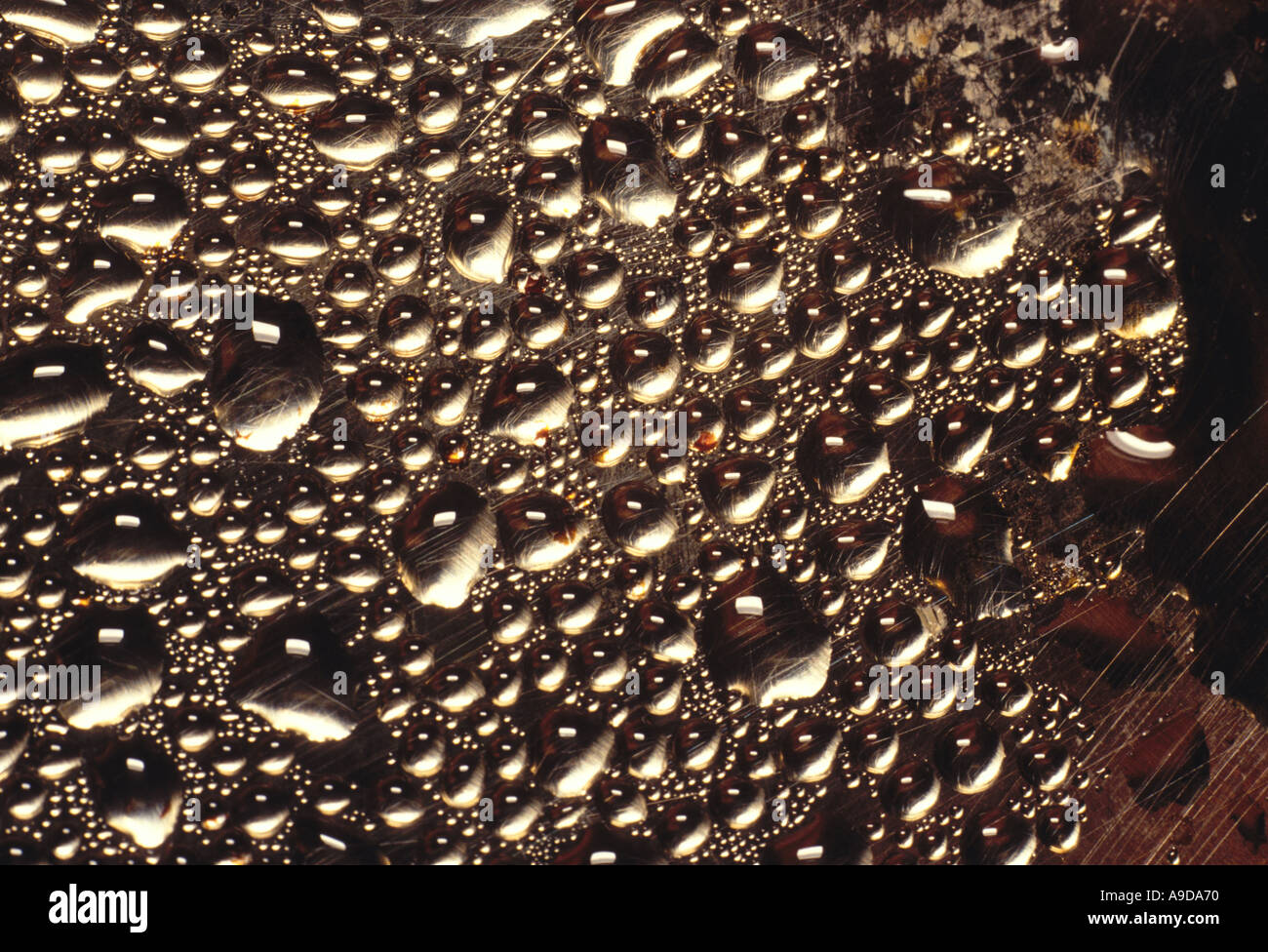 CLOSE UP CONDENSATION Stock Photo - Alamy