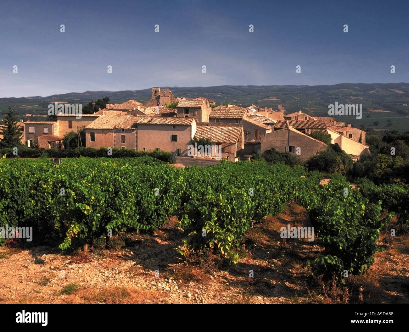france provence cote du rhone vineyards buisson village Stock Photo - Alamy
