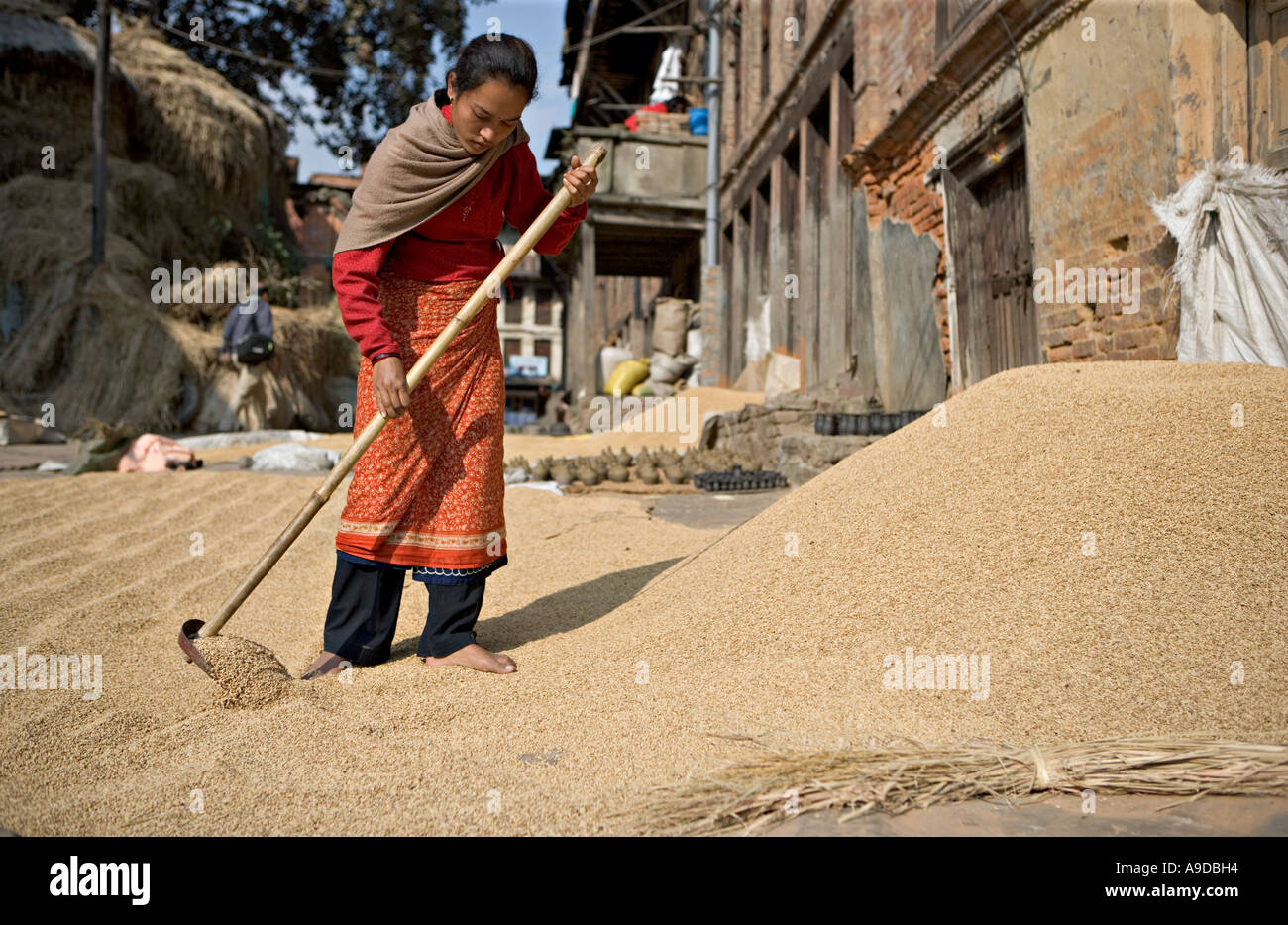 Nepal city farming hi-res stock photography and images - Alamy