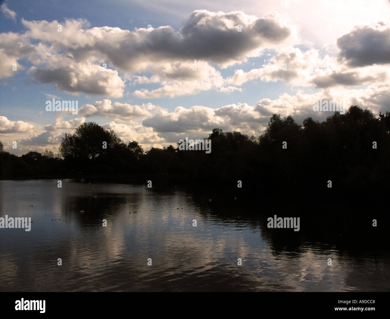britain england london camden hampstead heath grounds of kenwood house ...