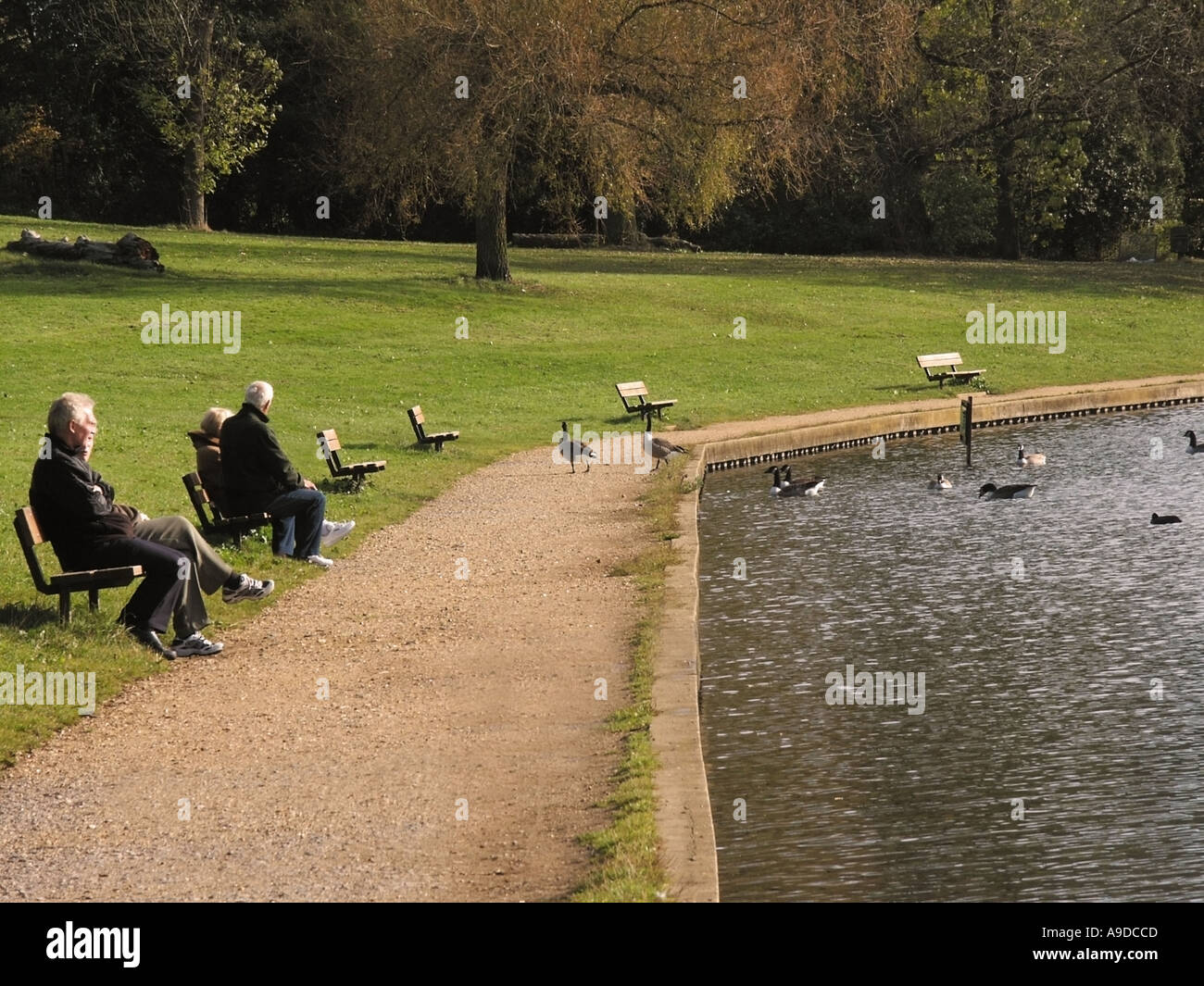 britain england london camden hampstead heath grounds of kenwood house ...