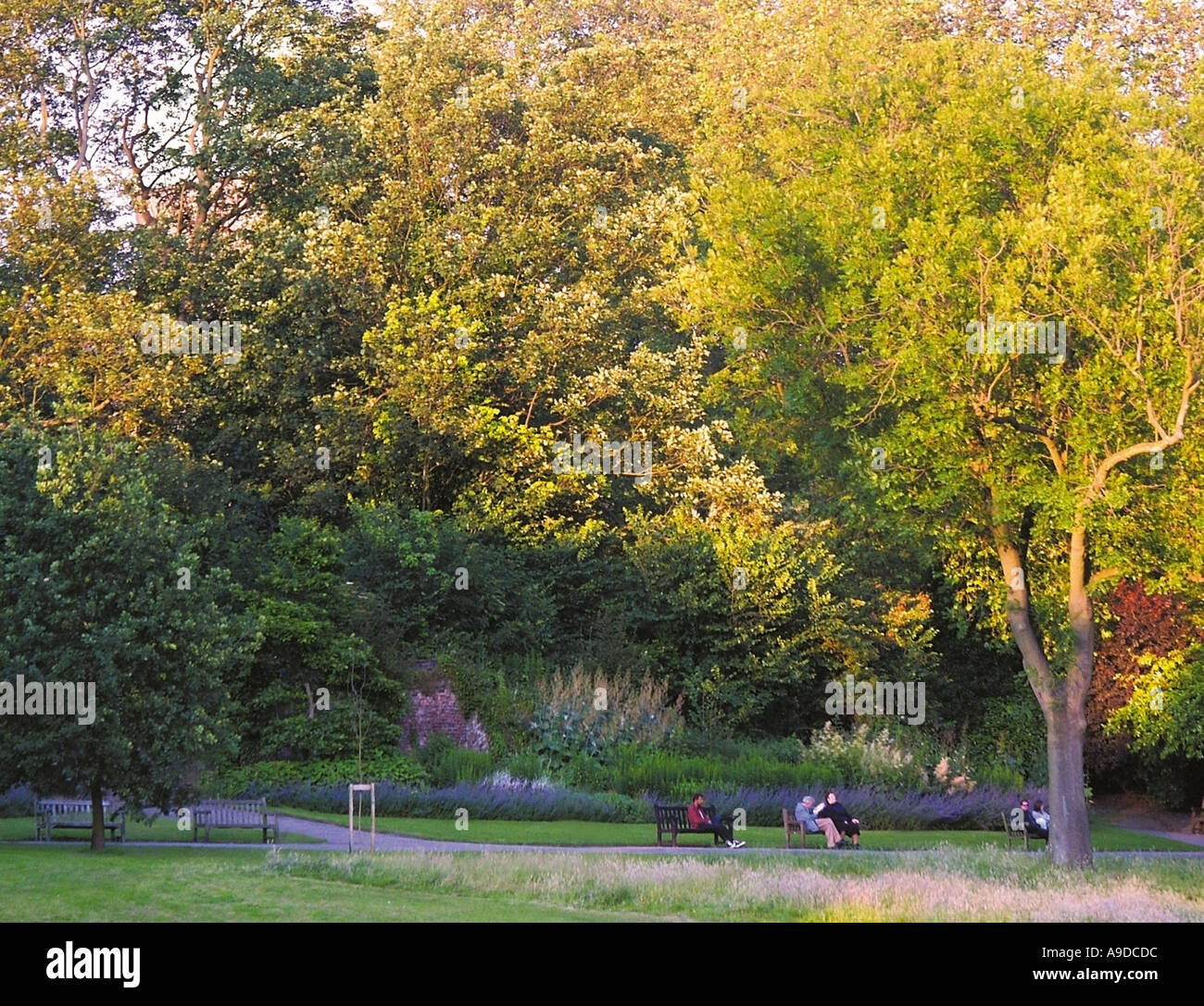 england london waterlow park highgate Stock Photo - Alamy