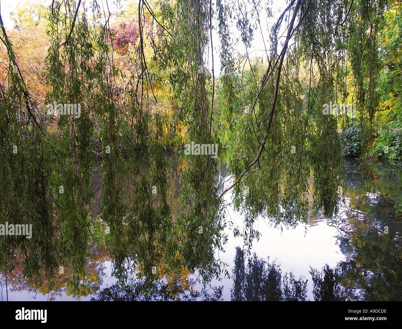 england london waterlow park highgate Stock Photo - Alamy