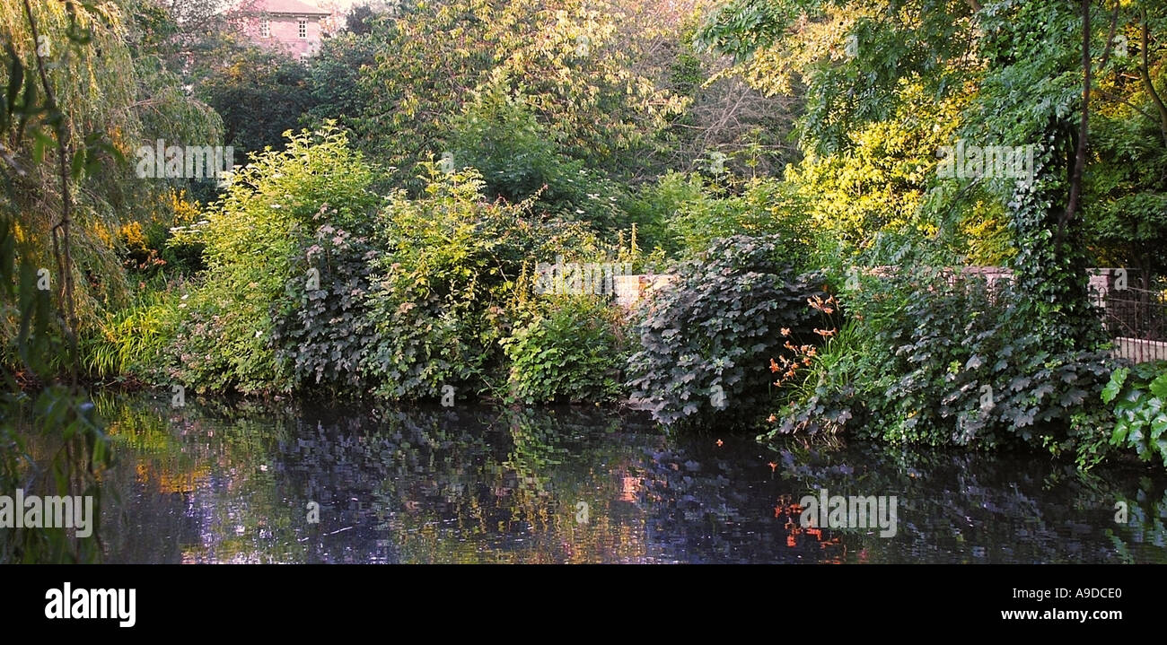 england london waterlow park highgate Stock Photo - Alamy