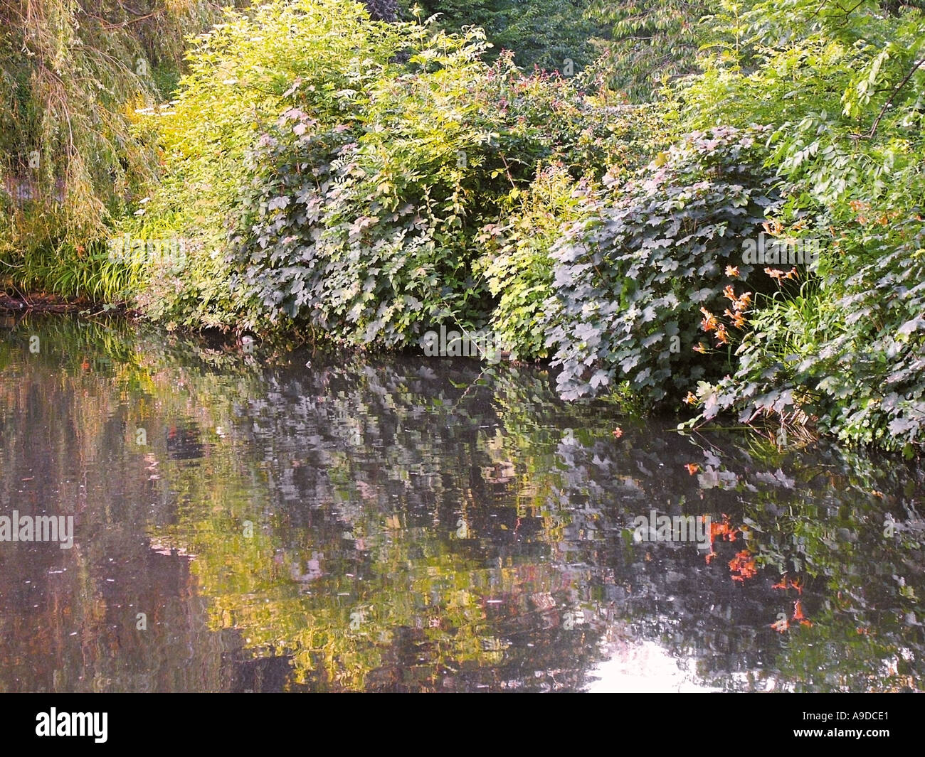 england london waterlow park highgate Stock Photo - Alamy
