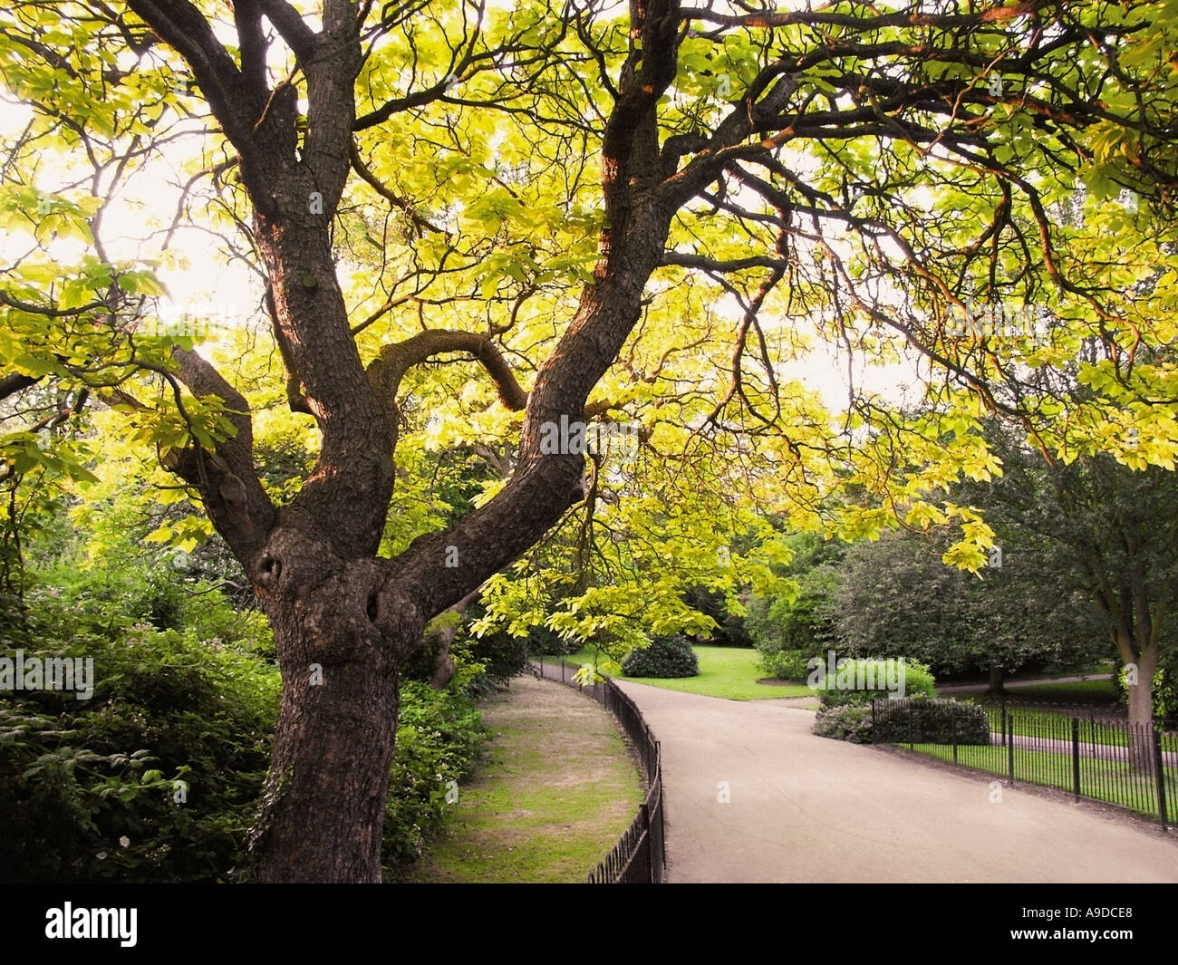 england london waterlow park highgate Stock Photo - Alamy