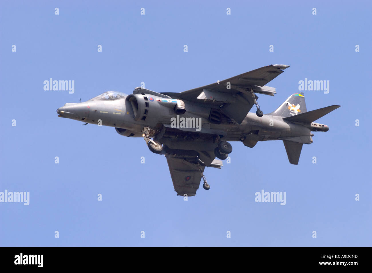 RAF Harrier GR7 Stock Photo - Alamy