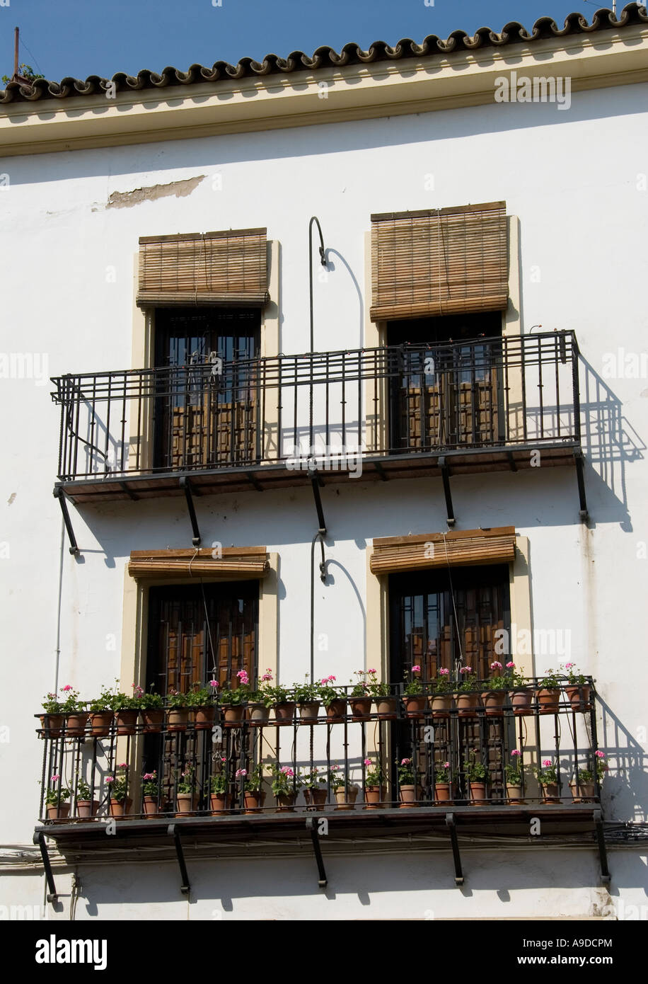 Spanish facade with balconies and windows Cordoba Spain Stock Photo - Alamy