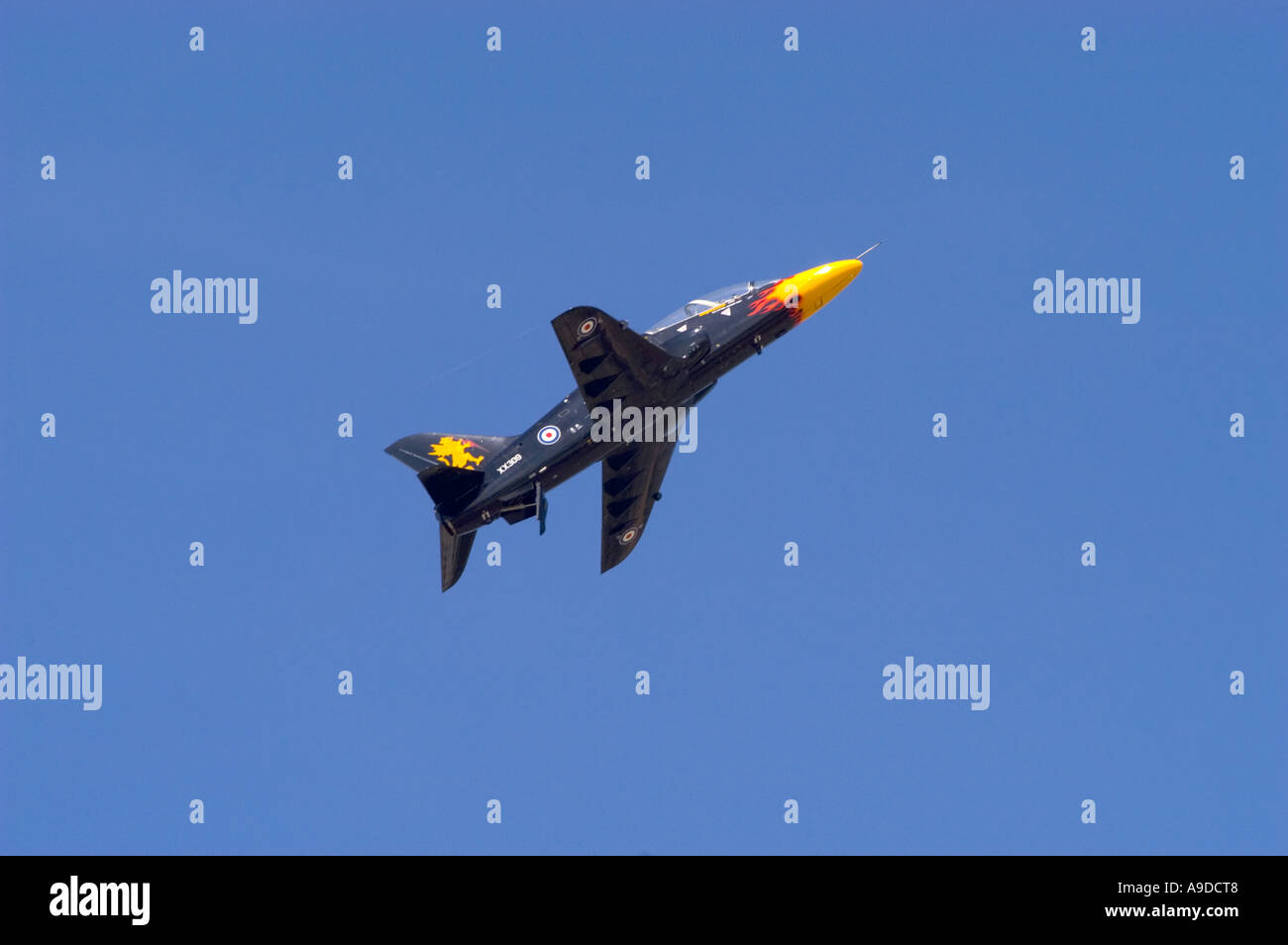 RAF Valley Hawk Stock Photo - Alamy