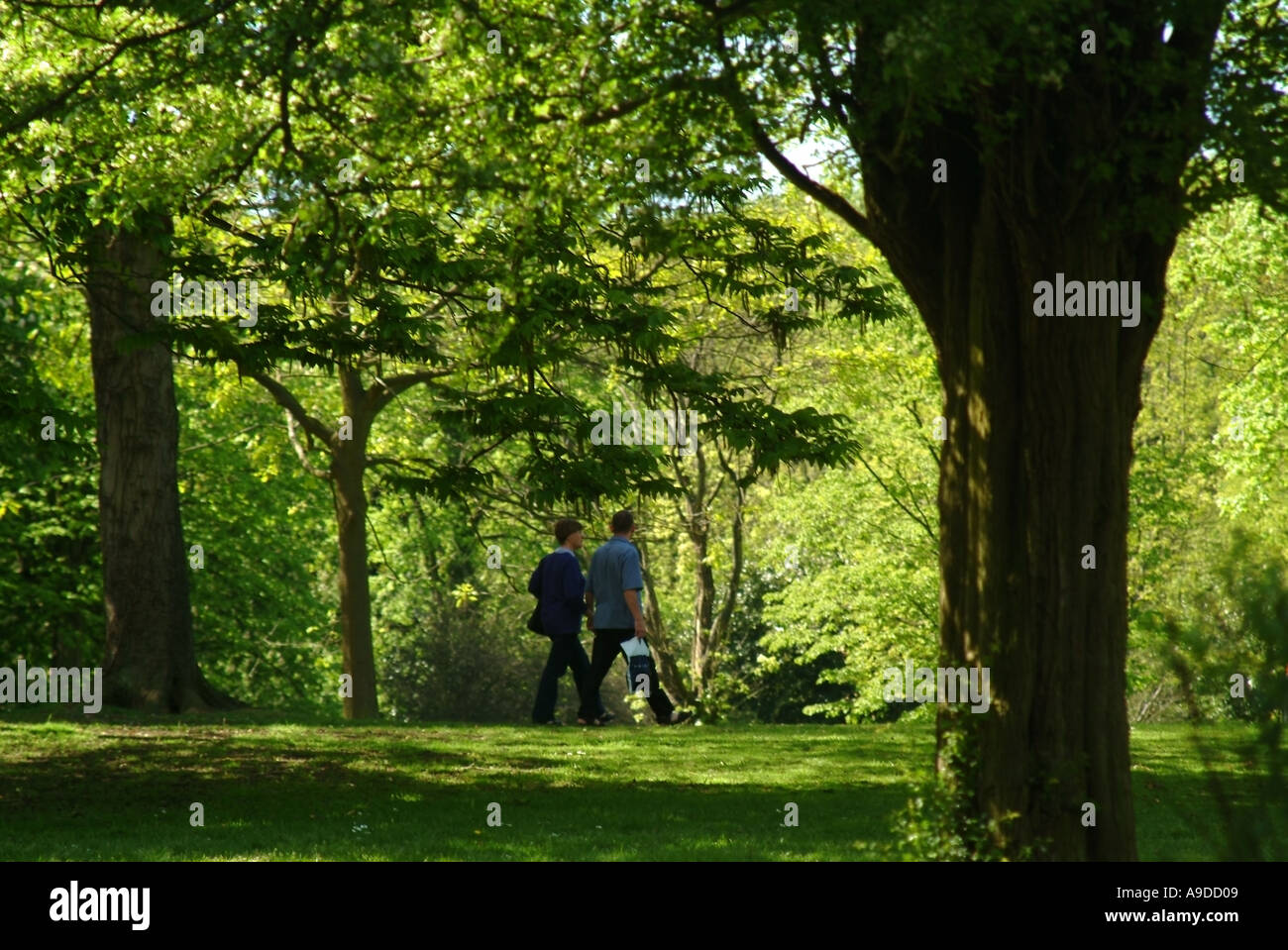 england london waterlow park highgate Stock Photo - Alamy