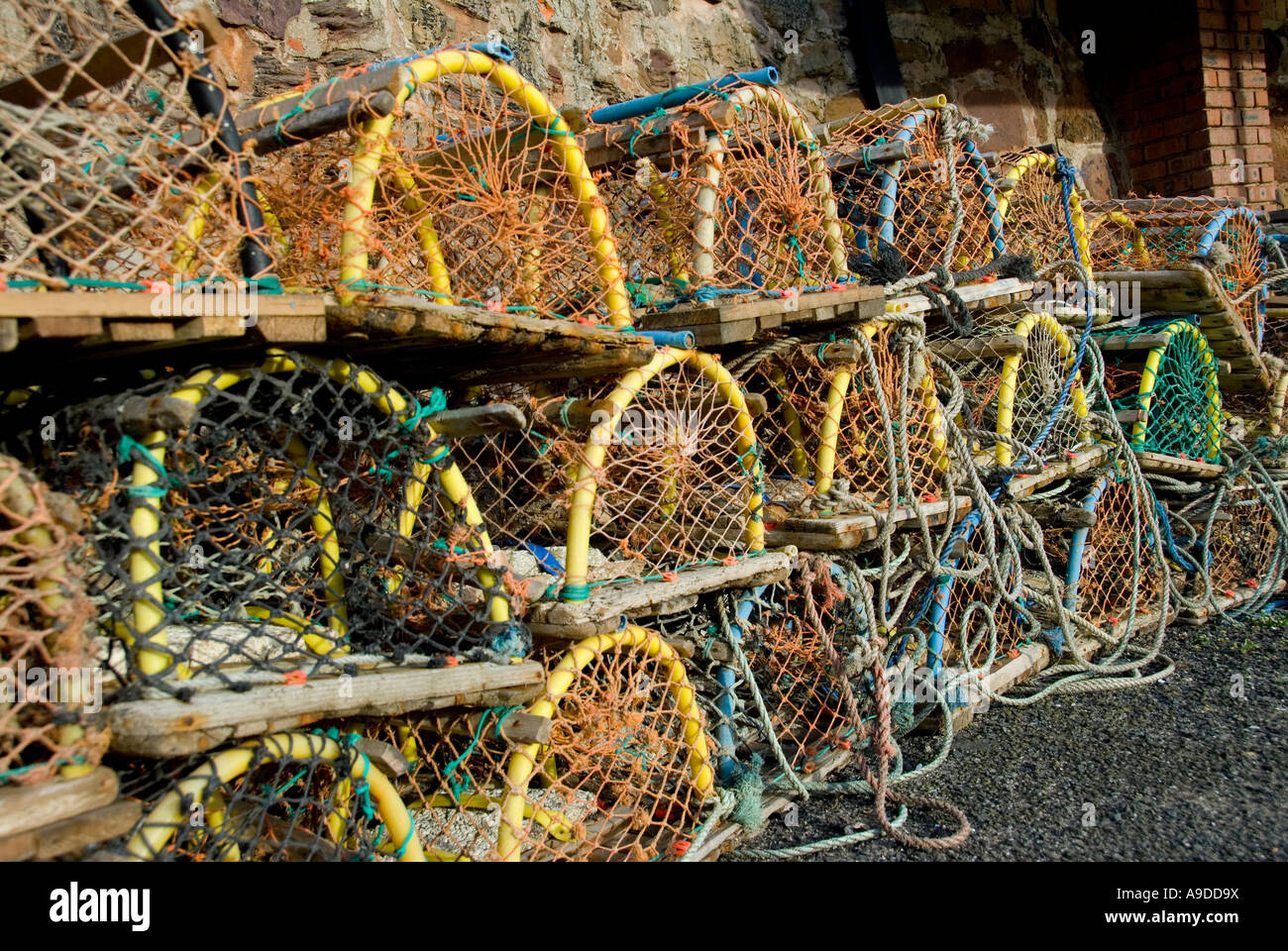 lobster trap cases Stock Photo - Alamy