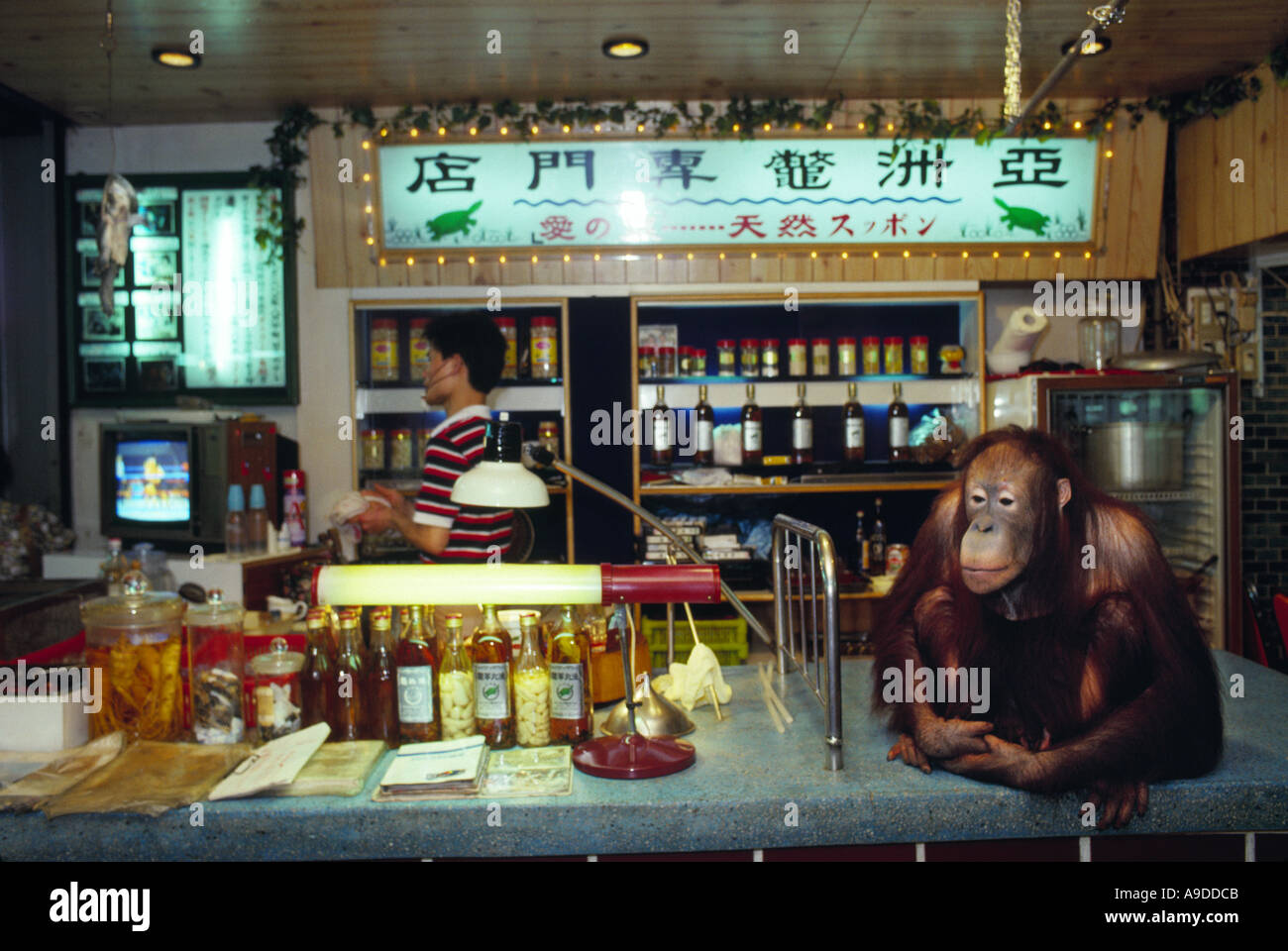 Exotic shop selling snake wine and so in west gate area Taipei Taiwan ...
