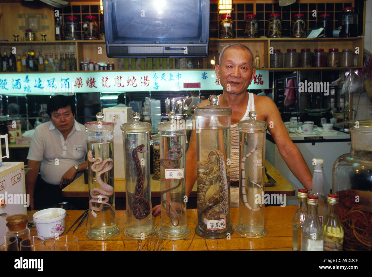 Snake shop in West gate area Taipei Taiwan Stock Photo - Alamy