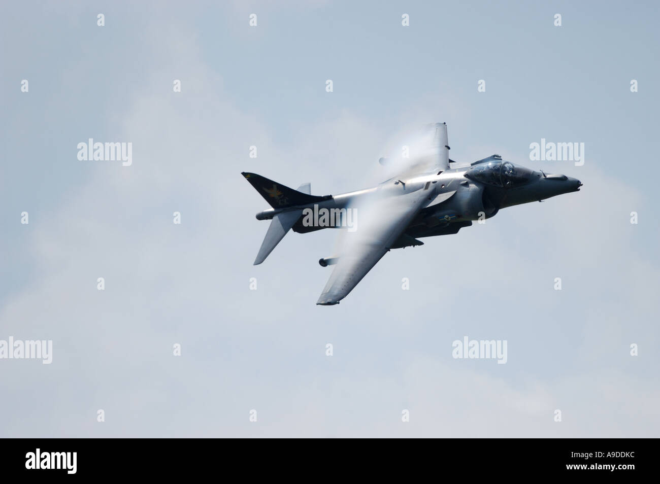 Harrier Gr7 Iraq War High Resolution Stock Photography and Images - Alamy