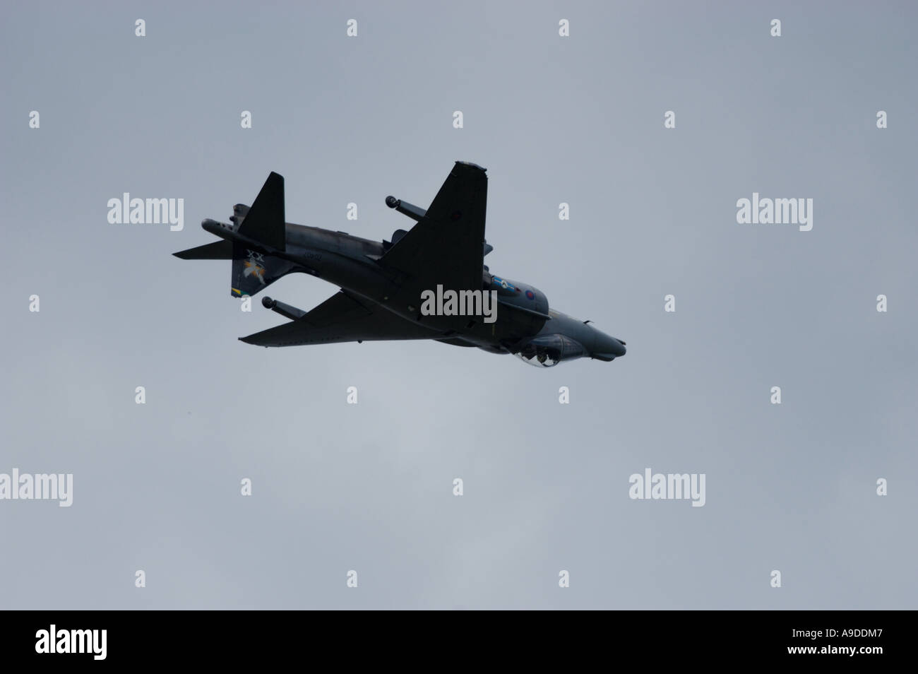 Harrier Gr7 Iraq War High Resolution Stock Photography and Images - Alamy