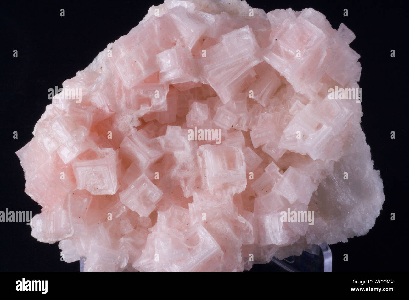 studio shot of Pink Halite Stock Photo - Alamy