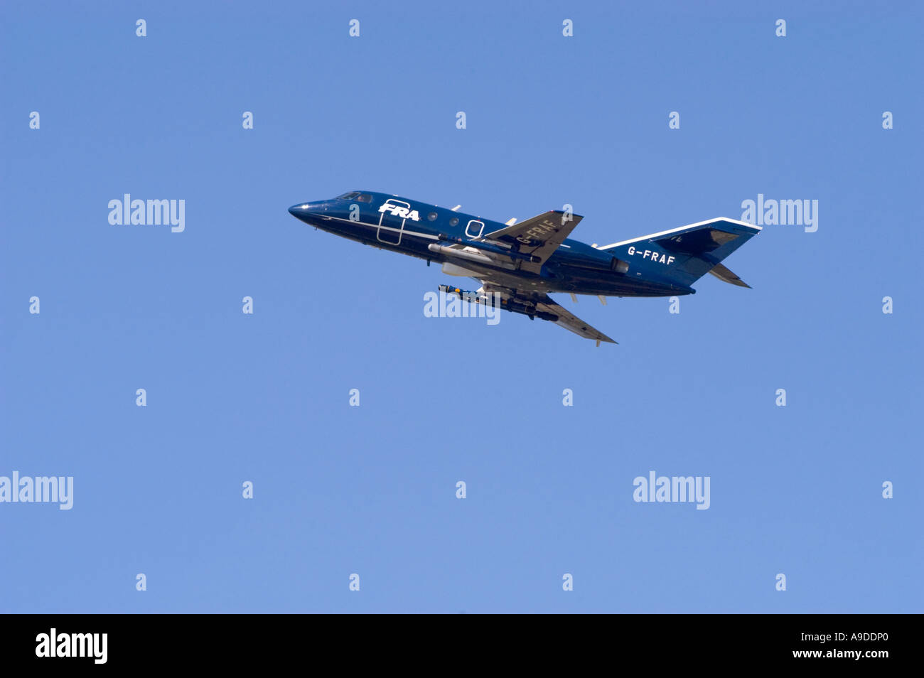 Royal navy falcon hi-res stock photography and images - Alamy