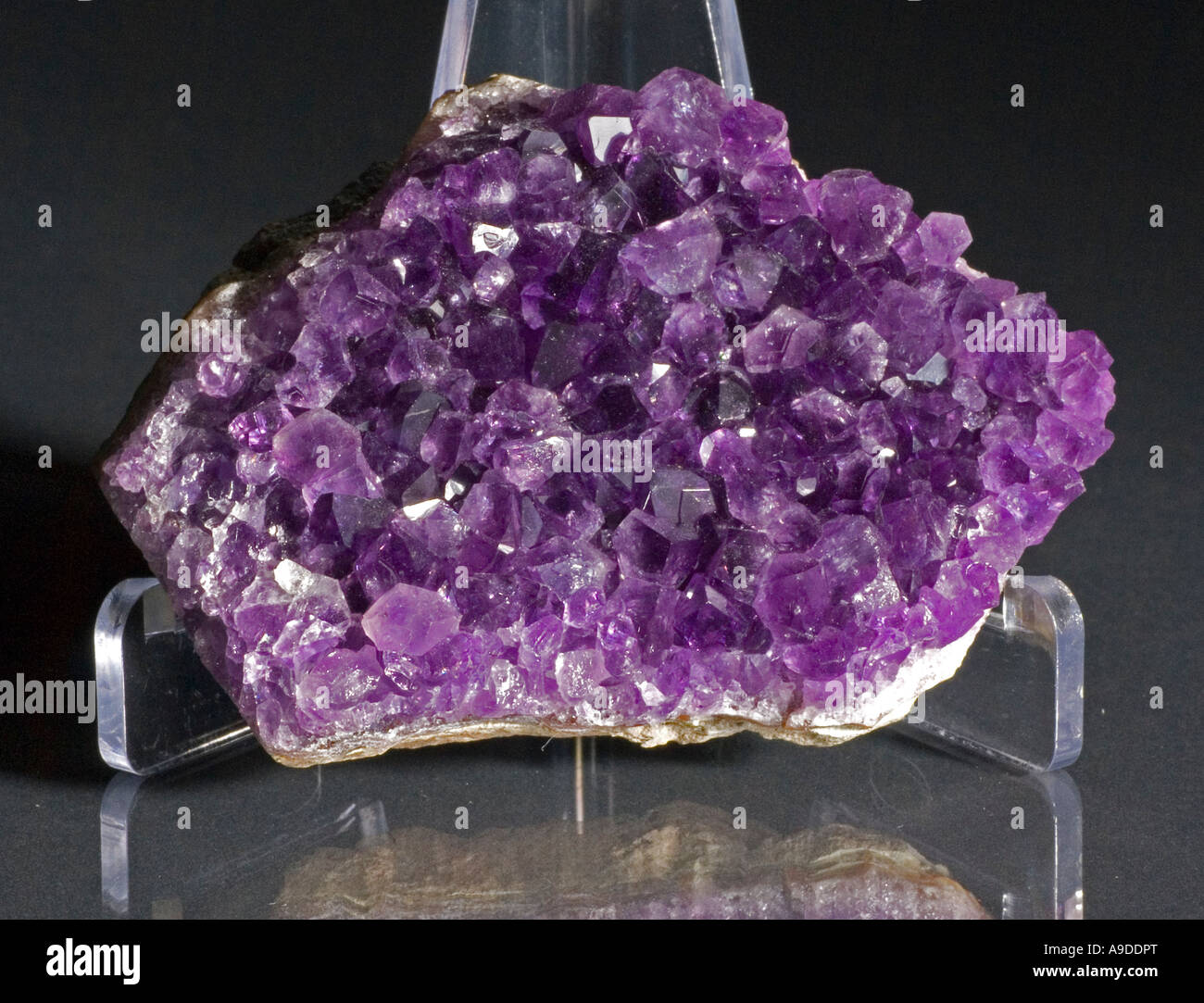 3 inch piece hi-res stock photography and images - Alamy