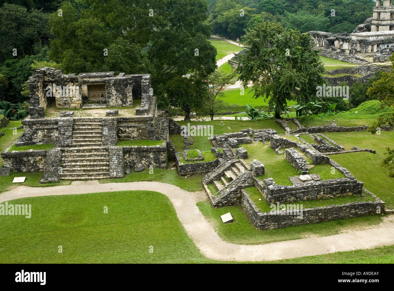 Palenque panoramic view Chiapas Mexico Stock Photo - Alamy