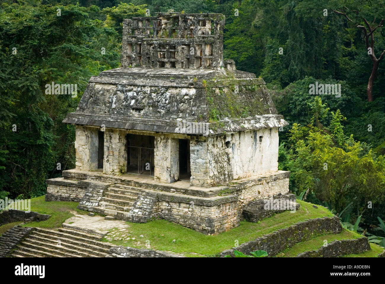 Palenque temple of the sun Chiapas Mexico Stock Photo - Alamy