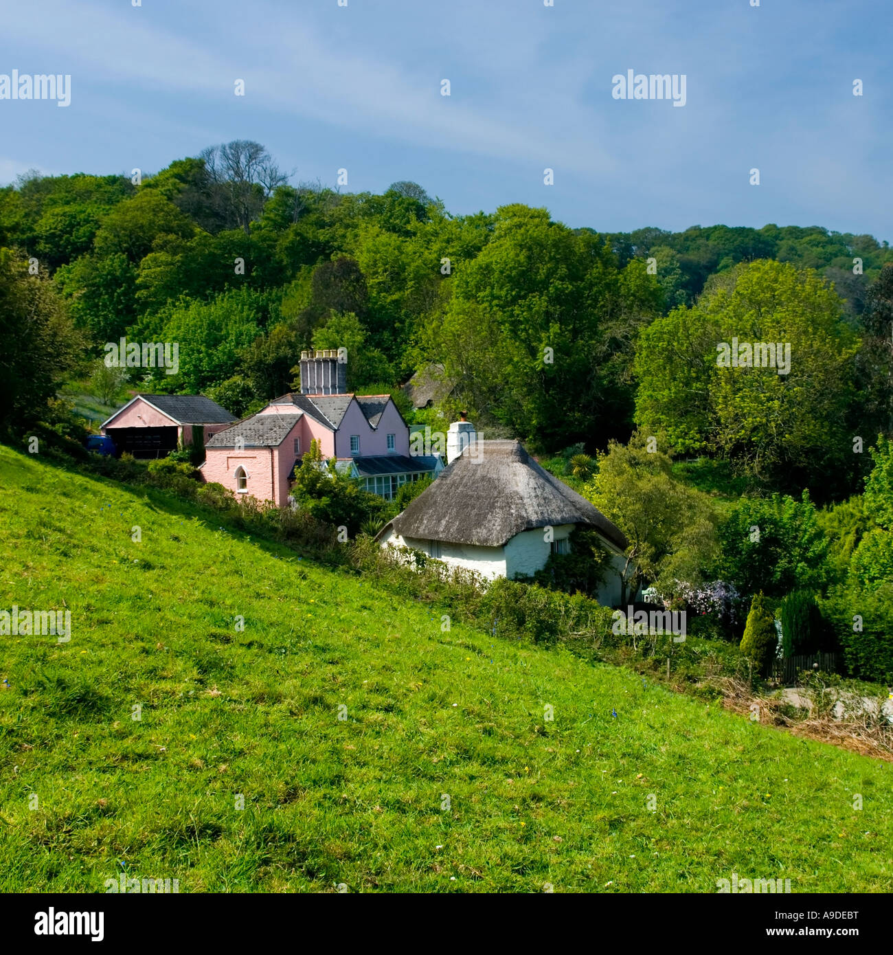 UK England Devon countryside at Blackpool Stock Photo - Alamy