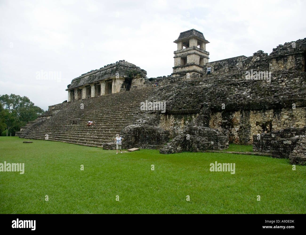 Palenque the palace Chiapas Mexico Stock Photo - Alamy