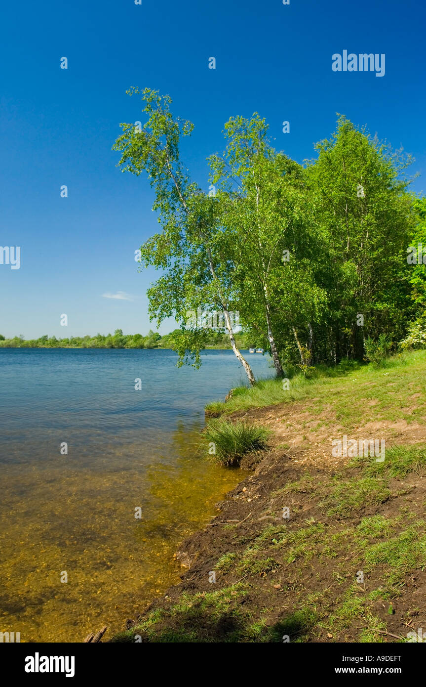 Horseshoe Lake in Trilakes Country Park Sandhurst Berkshire England ...